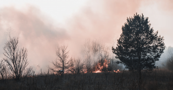 Bushfire Attack Level (BAL) Rating for Owner Builders - Tasmania